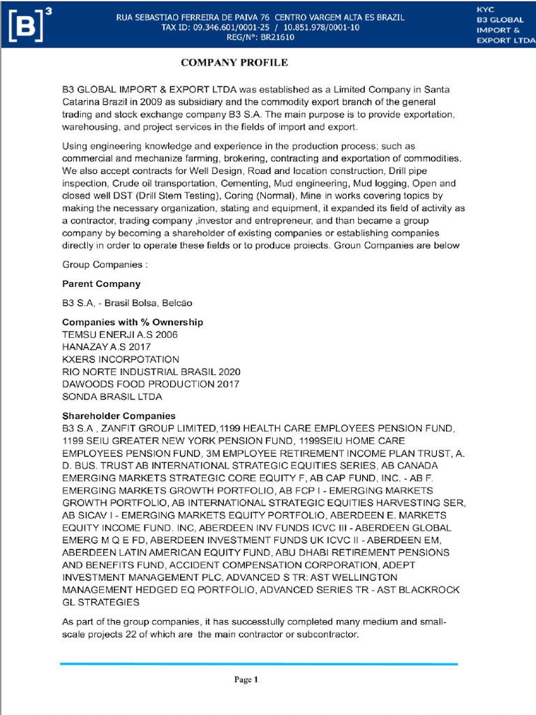 b3 Brasil Co Profile 2 | PDF