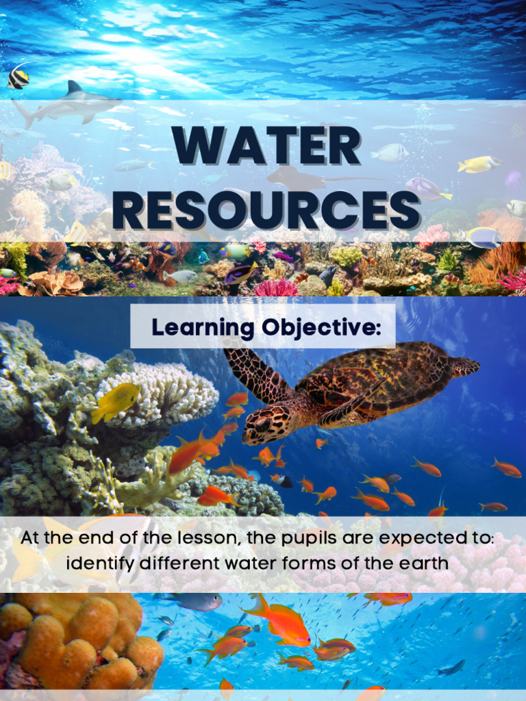 Water Resources | PDF