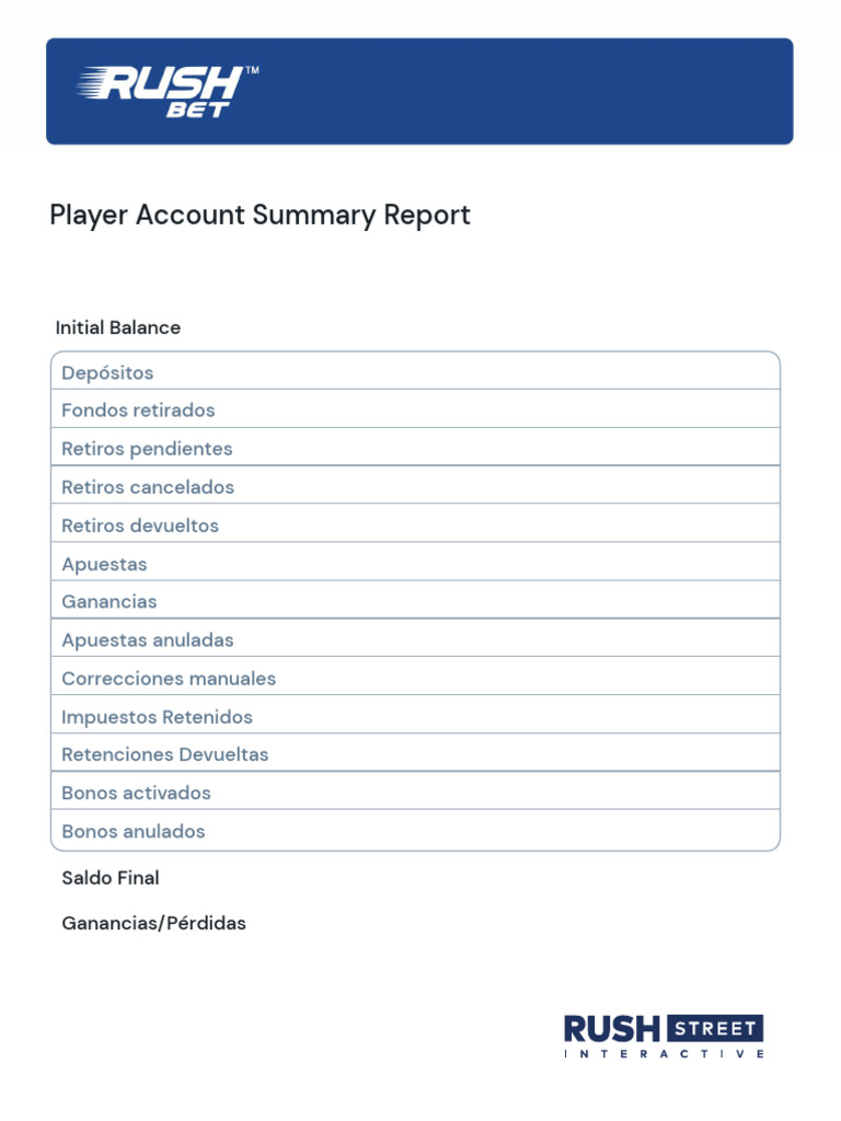 account_summary_01-01-2024_31-12-2024 | PDF