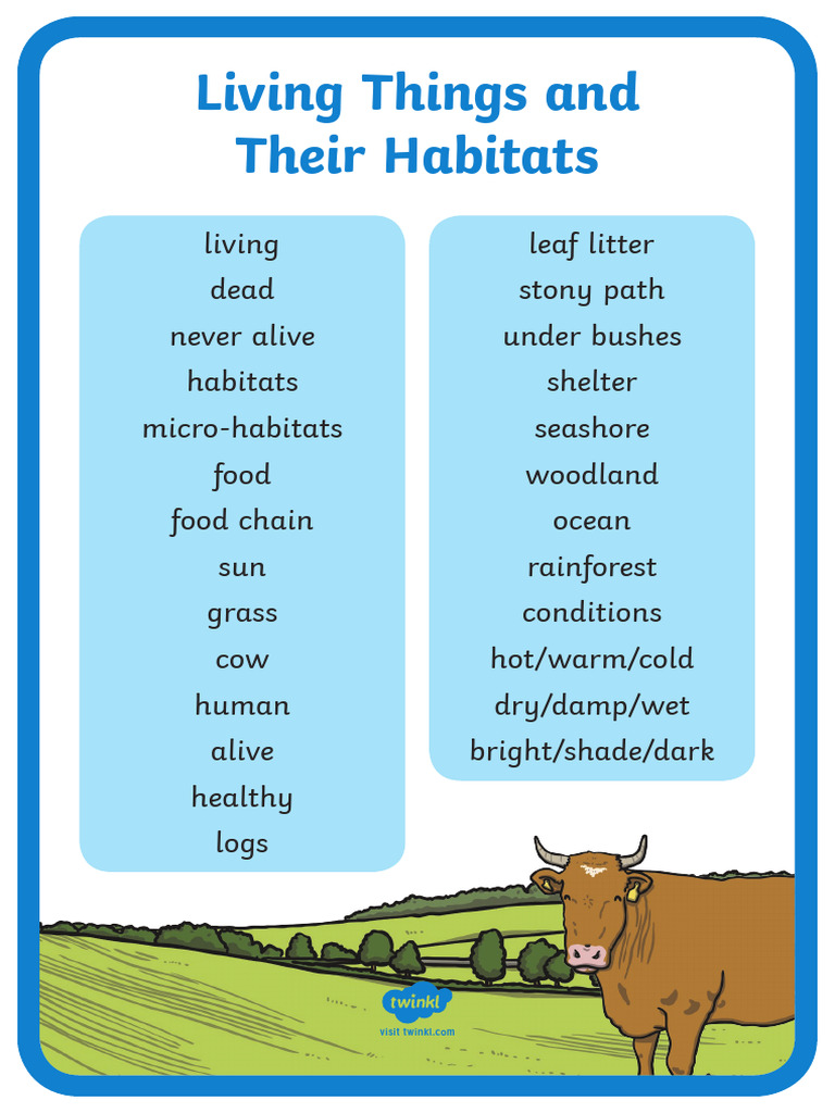 Year 2 Living Things and Their Habitats Scientific Vocabulary Poster | PDF