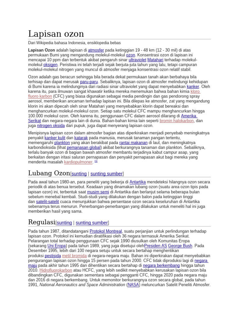 Perlindungan Lapisan Ozon Atmosfer | PDF