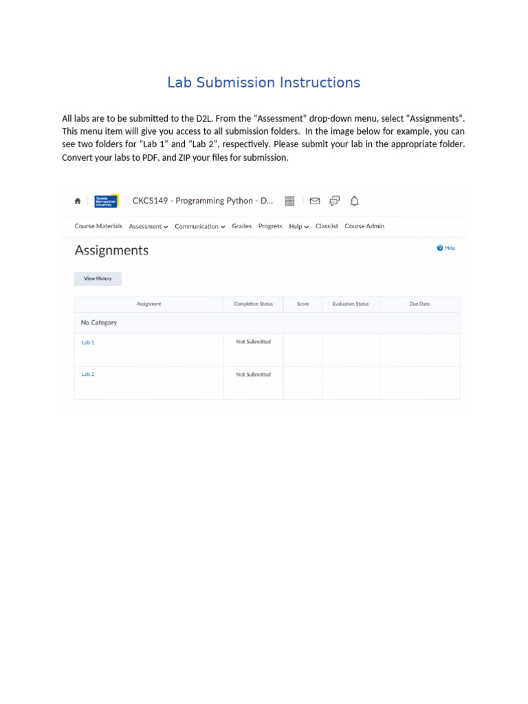 CKCS149 - Lab Submission Instructions | PDF
