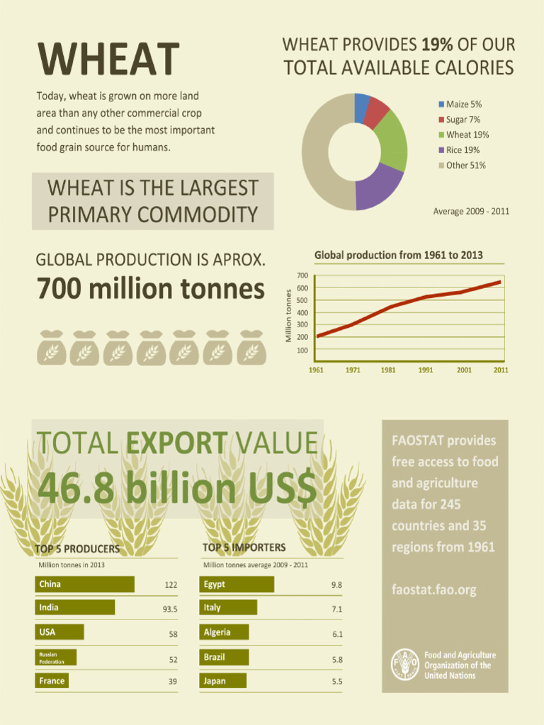 FAO Infographic Wheat en | PDF