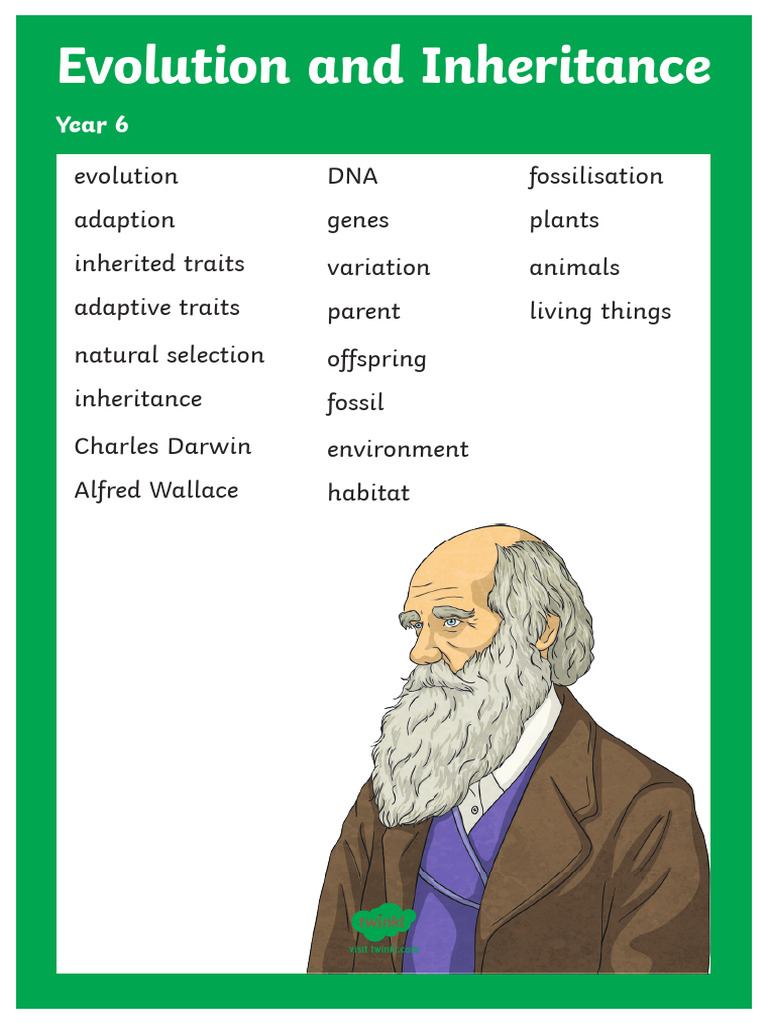 Year 6 Evolution and Inheritance | PDF