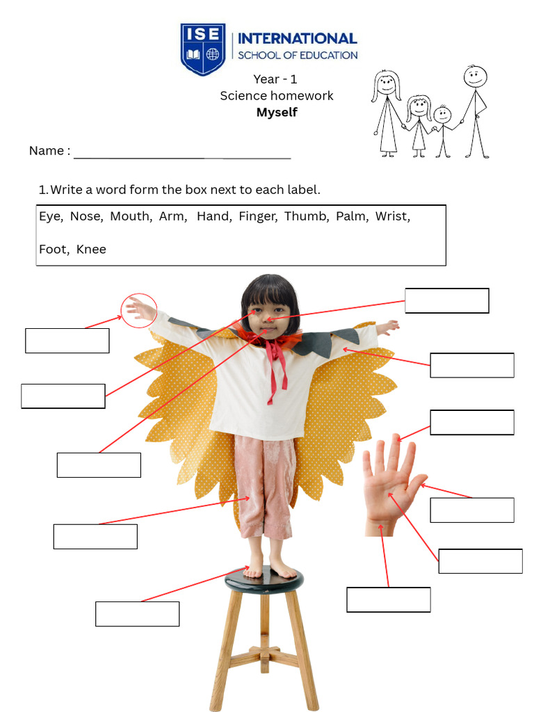 Year - 1 Science Homework (8) | PDF