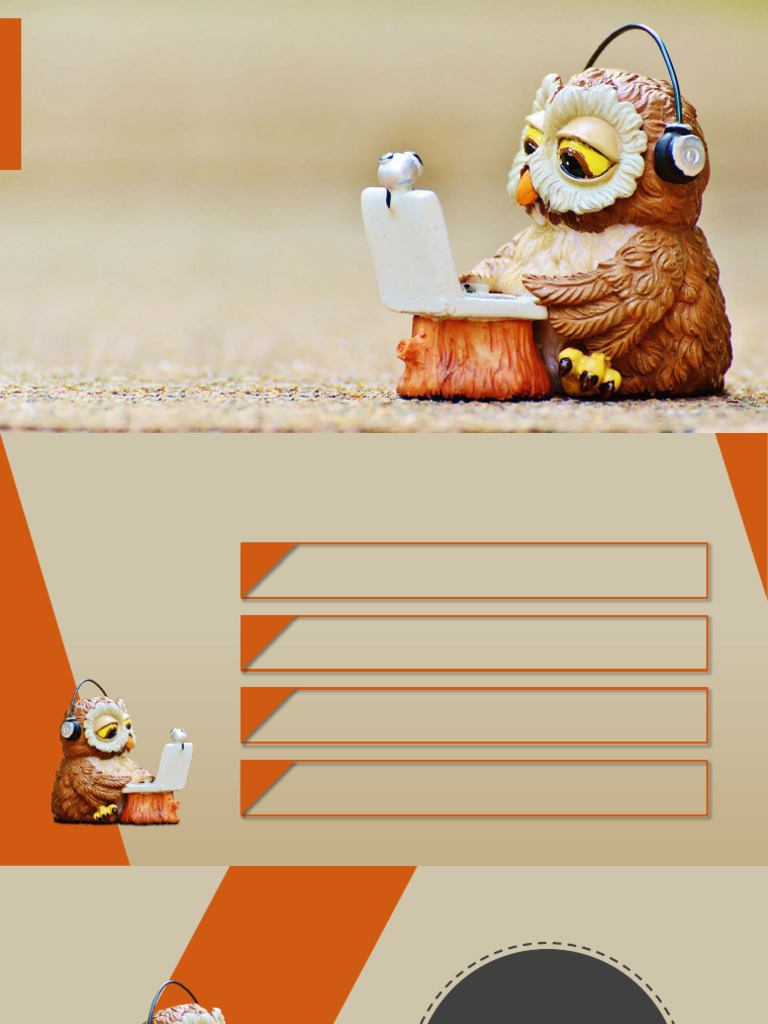 Week 5 Part 2C Who Whose Why Which How YesNo Choice | PDF | Grammar | Linguistics