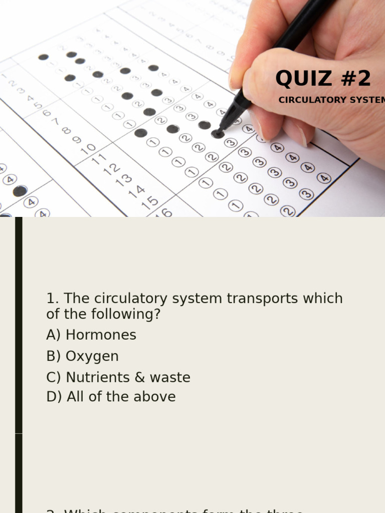 Quiz #2: Circulatory System | PDF | Circulatory System | Heart