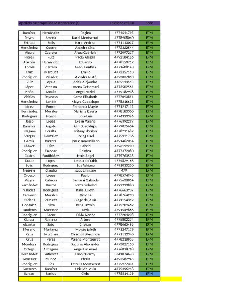 S.S Curso de Verano Efm | PDF