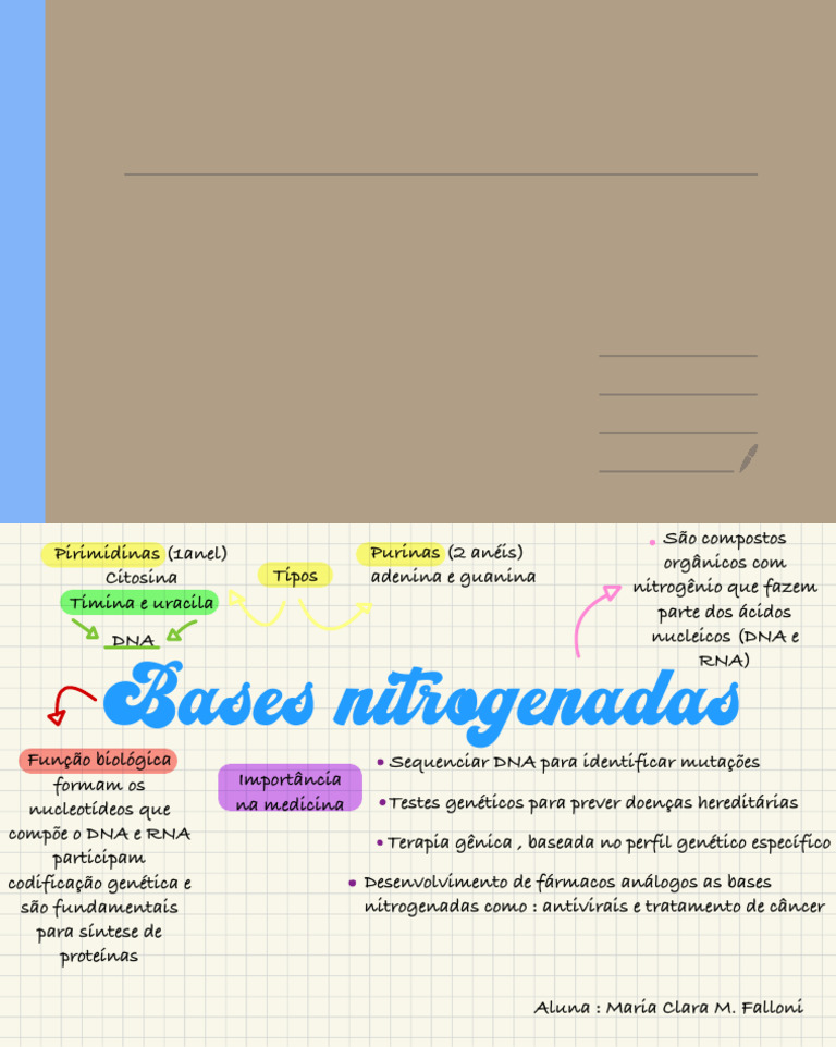 Mapa Mental Bases Nitrogenadas | PDF
