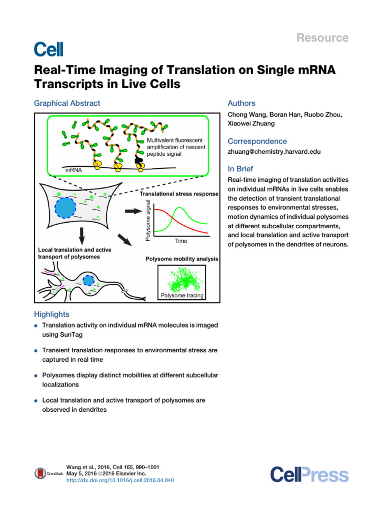2016 Real-Time Imaging of Translation On Single MRNA Transcripts in Live Cells | PDF ...