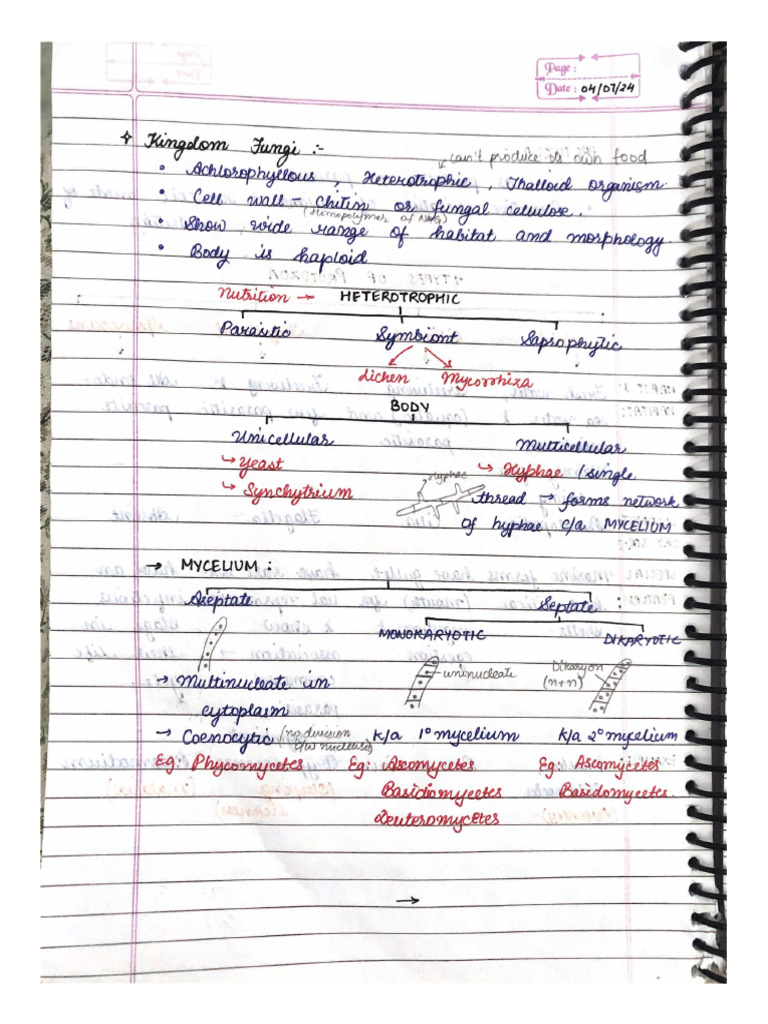 Class Note | PDF