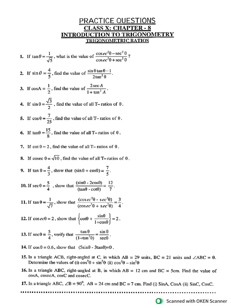 Trigo Worksheet 2025 | PDF