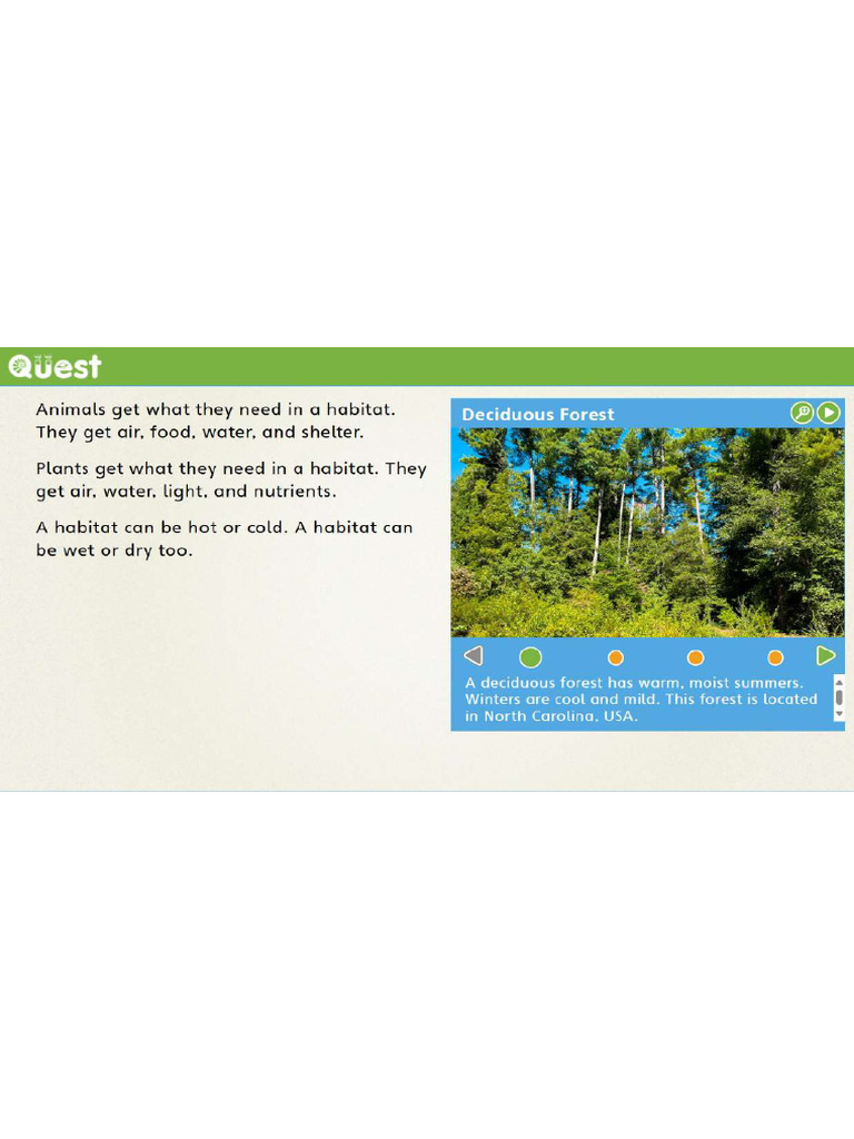 Land Habitats | PDF