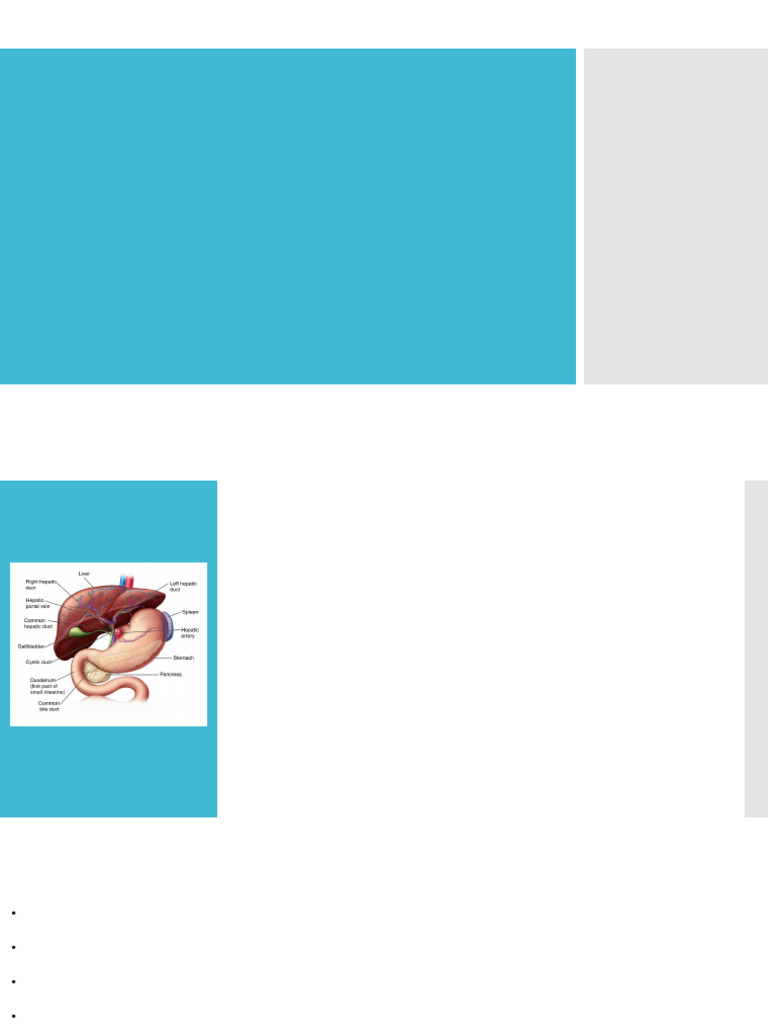 3 Liver Pancreas Lab Med 2024-25 | PDF | Liver | Medical Specialties