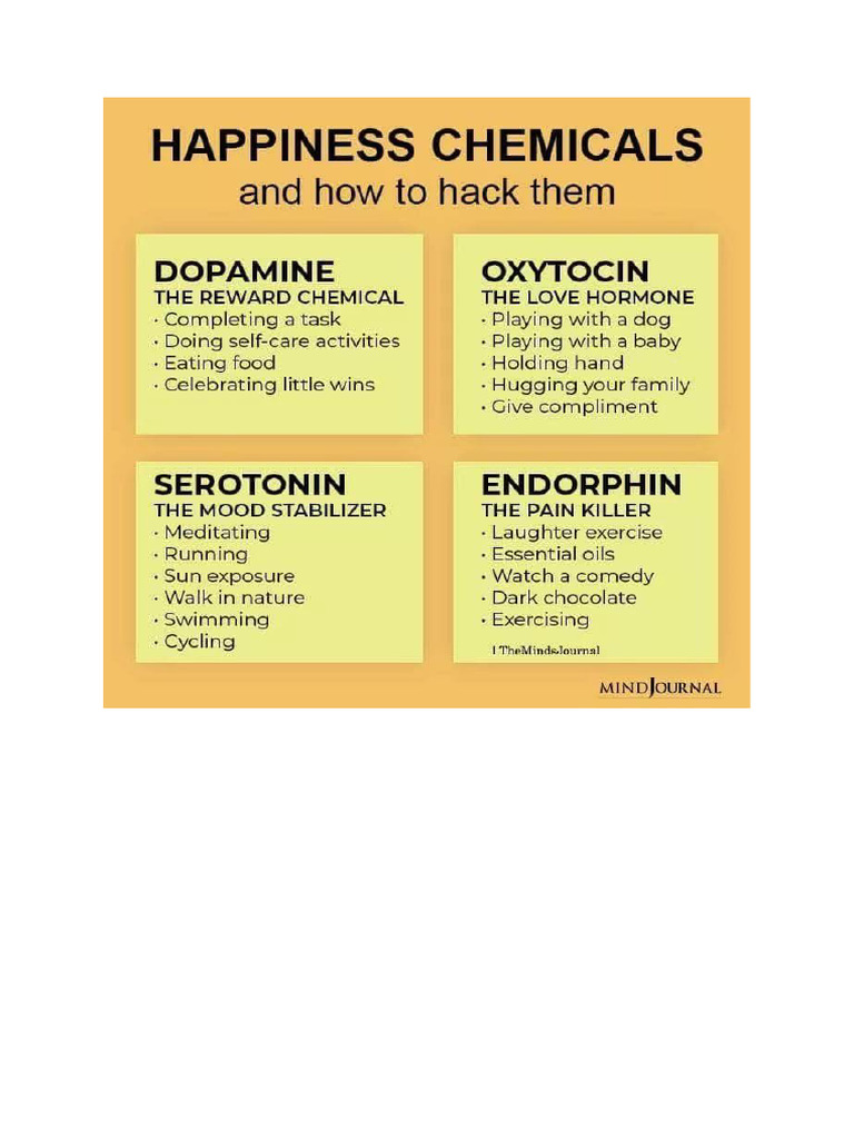 Contoh Chemical Happyness | PDF