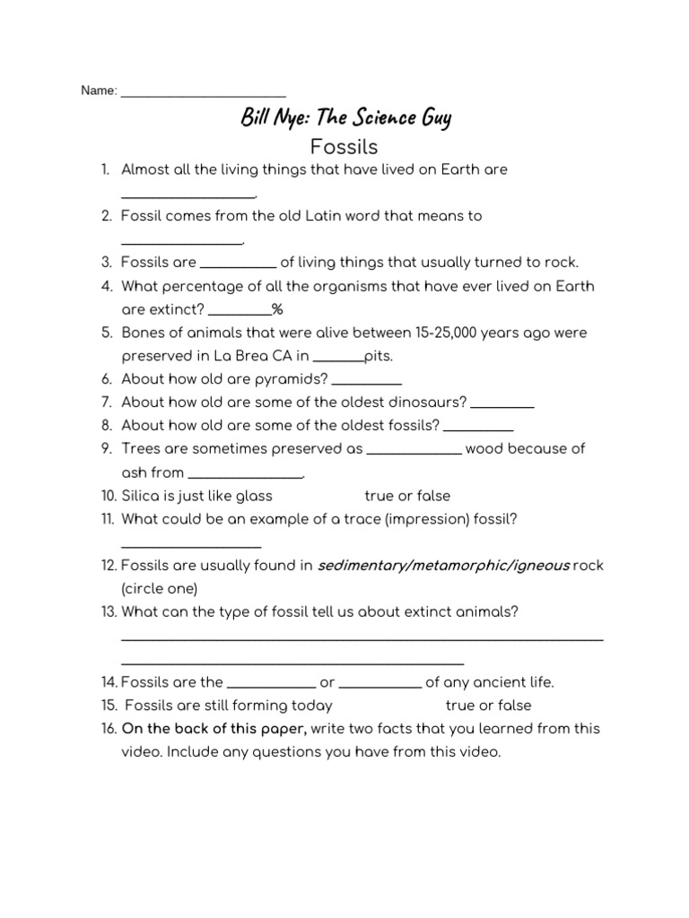 Bill Nye: The Science Guy: Fossils | PDF