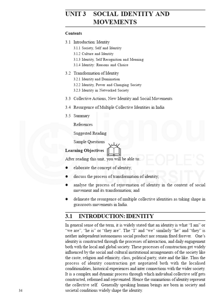 Collective Identity in Social Movements | PDF | Identity (Social ...