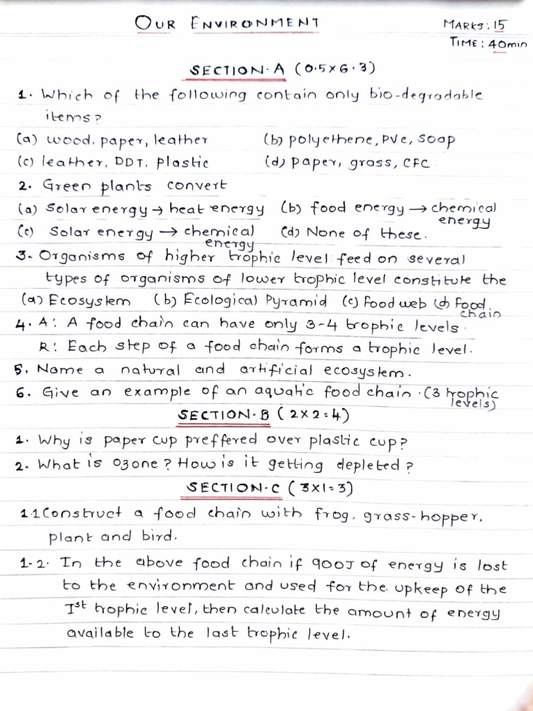 Our Environment A | PDF