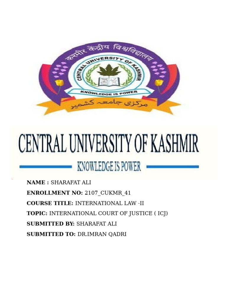 International Law Assignment | PDF | Global Politics | Justice