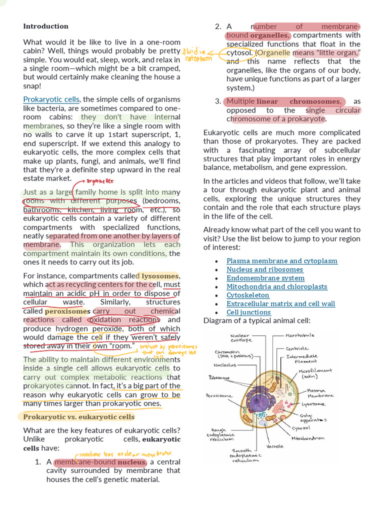 Prokaryotic vs. Eukaryotic Cells Explained | PDF | Cell (Biology ...