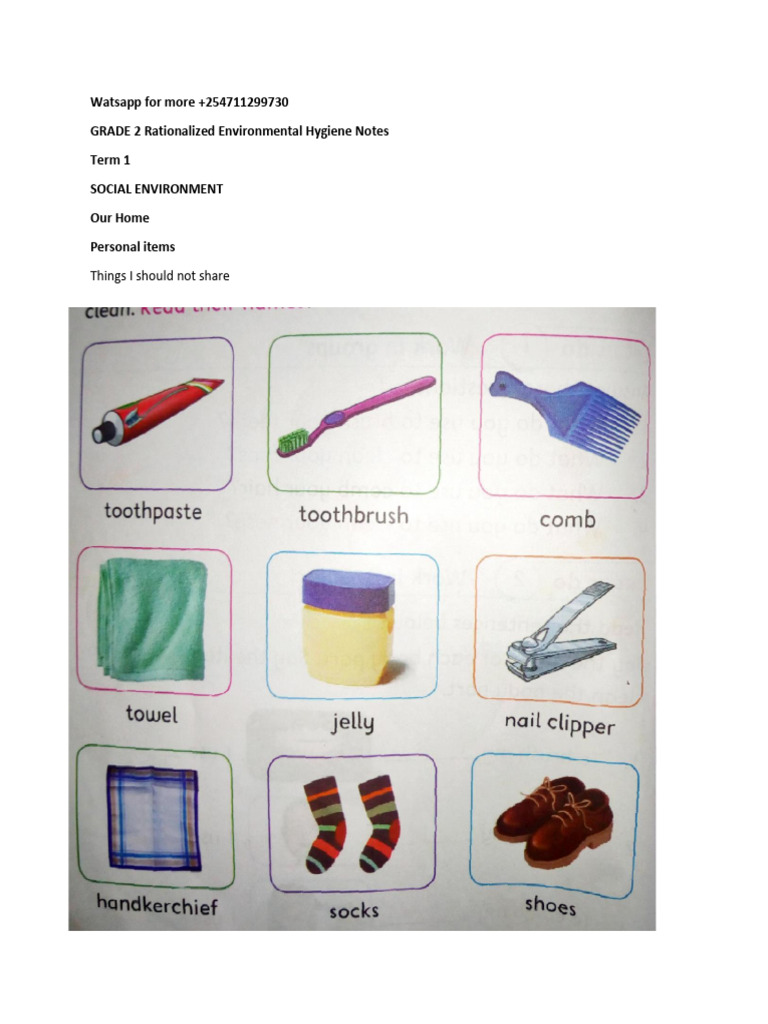 Grade 2 Environmental Hygiene Guide | PDF | Toothbrush | Brush
