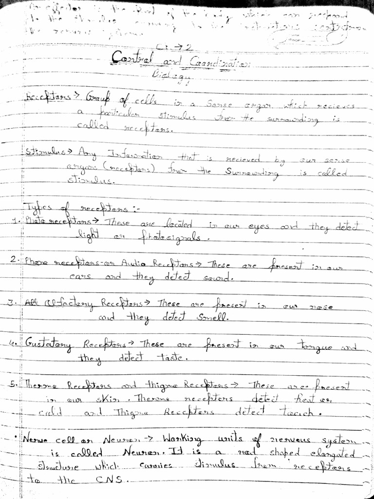 Control and Coordination Notes | PDF