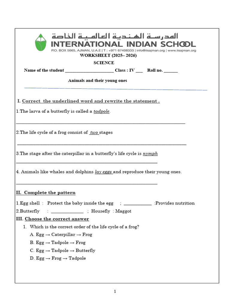 Animals and Their Young Ones Worksheet | PDF | Egg | Frog