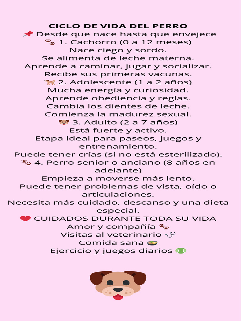 Ciclo de Vida Del Perro | PDF