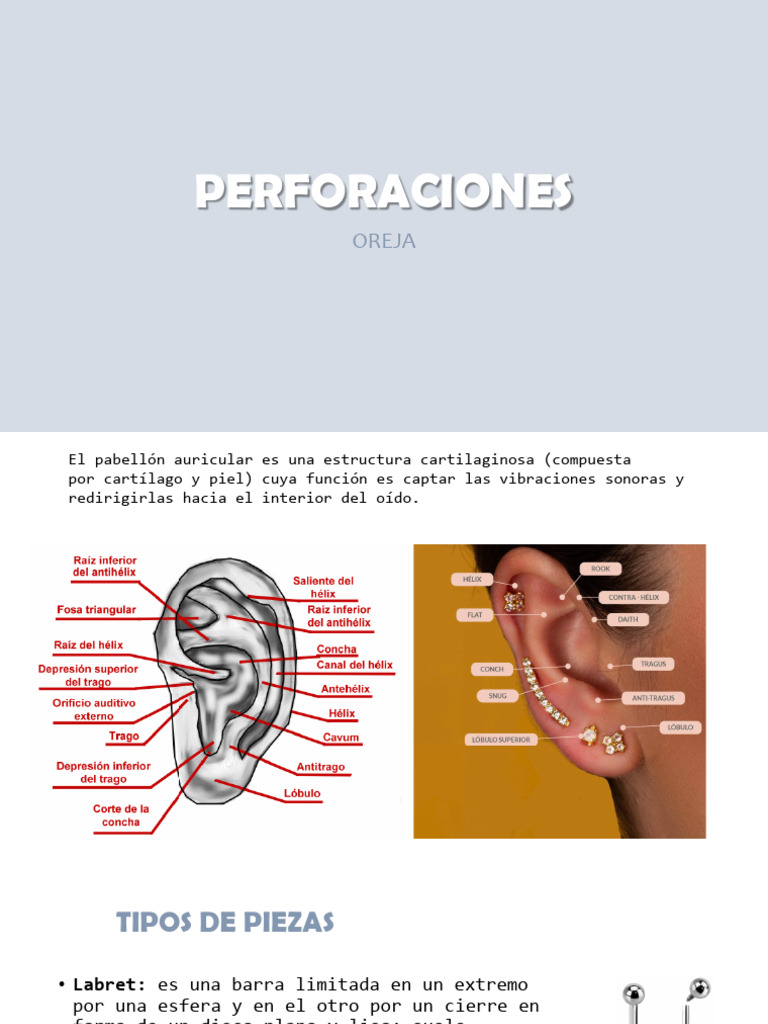 Guía Completa sobre Perforaciones de Oreja | PDF | Infección | Herida