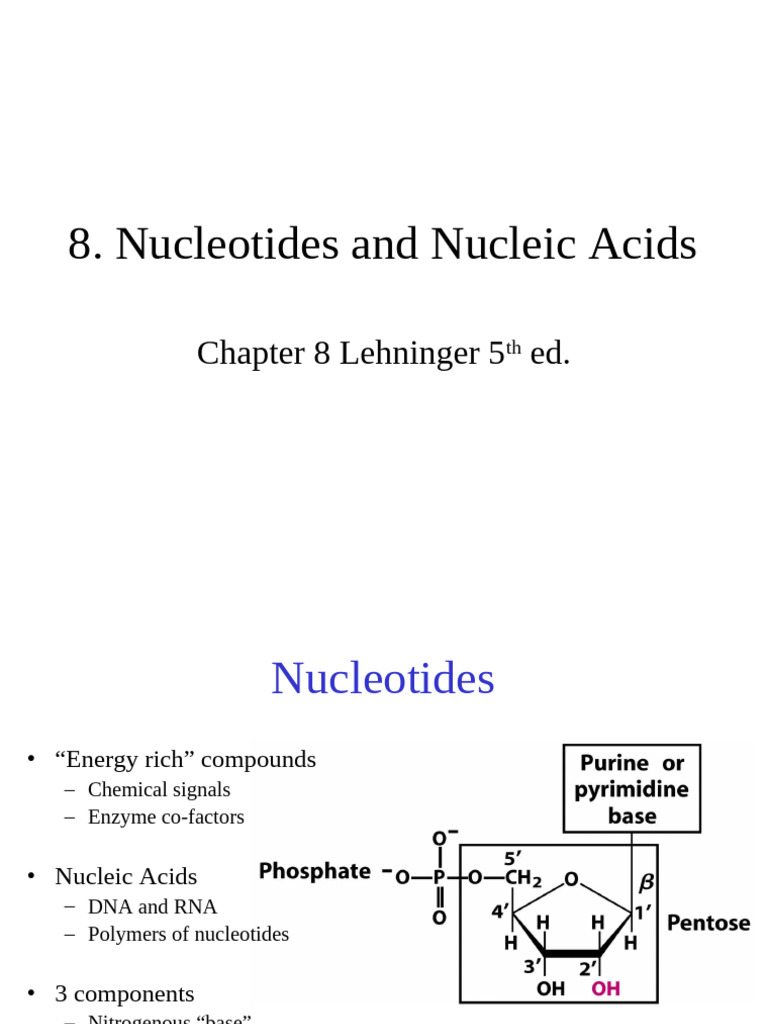8 Nucleotides And Nucleic Acids Pdf Nucleotides Rna