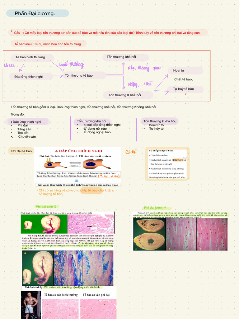 Gpb Lý Thuyết | PDF