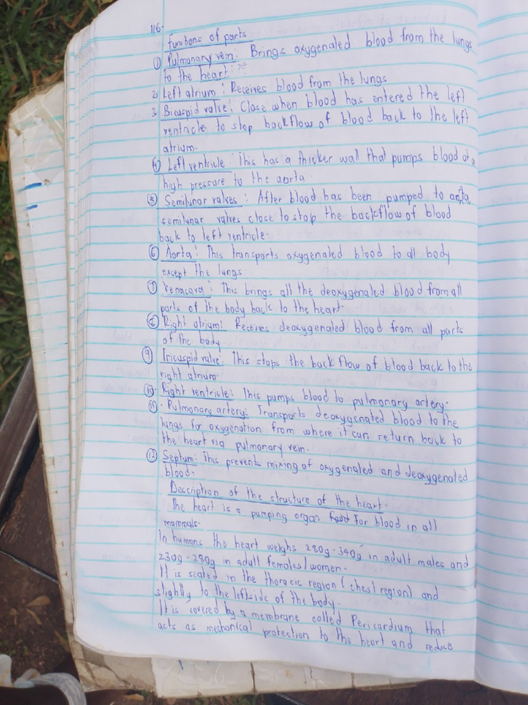 PDF Img2pdf 06aug25 1046 | PDF