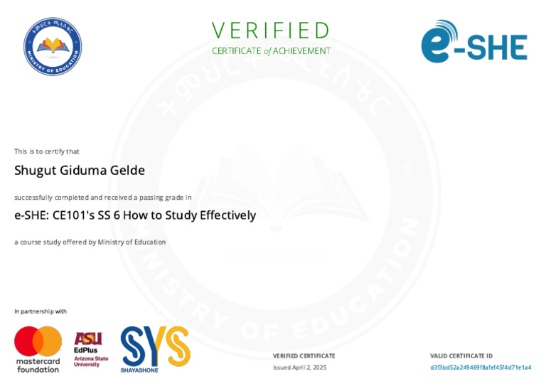 E-SHE CE101 Certificate - Shugut Giduma Gelde | PDF