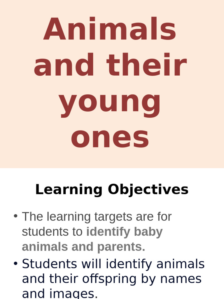 Animals and Their Young: A Learning Guide | PDF