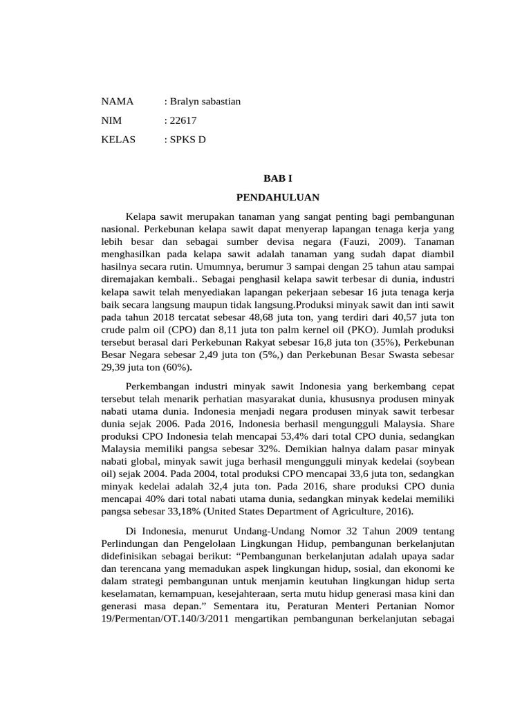 Tugas Bralyn Sabastian .s.22617 | PDF