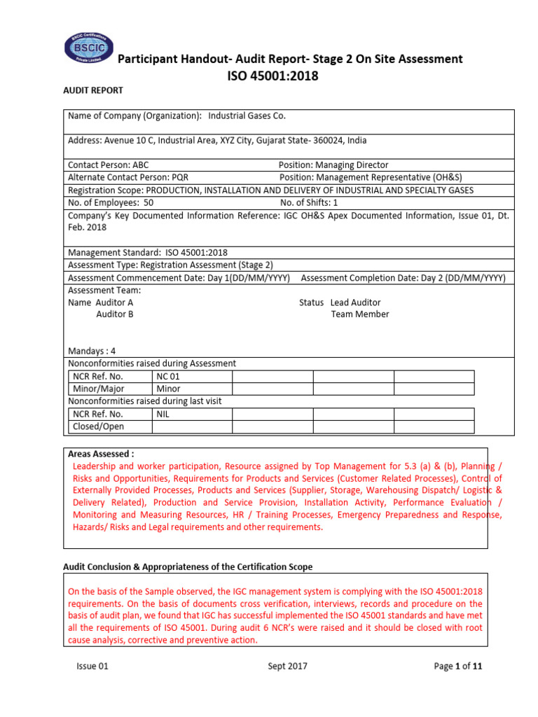 Participant Handout - Audit Report - Stage 2 | PDF | Audit | Risk