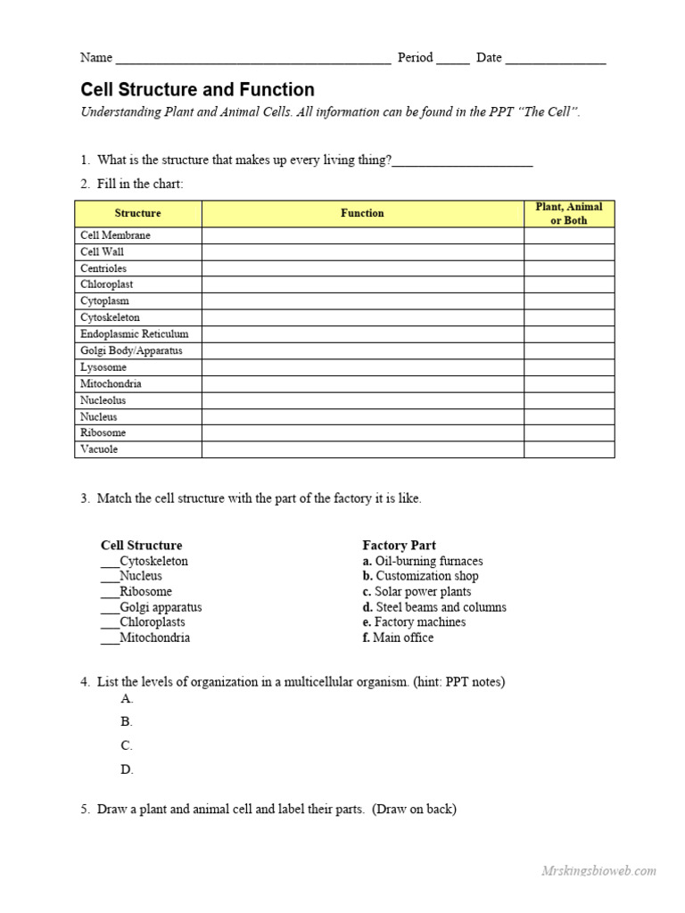 Plant and Animal Cell Structures Guide | PDF