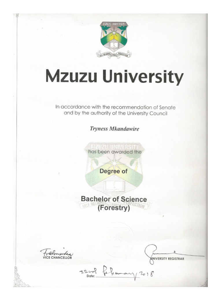 Tryness Bsc. Degree | PDF