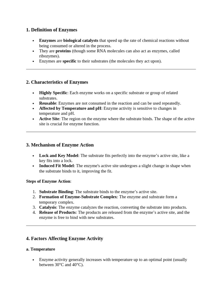 Biology Enzymes Notes o Levels | PDF | Enzyme | Active Site