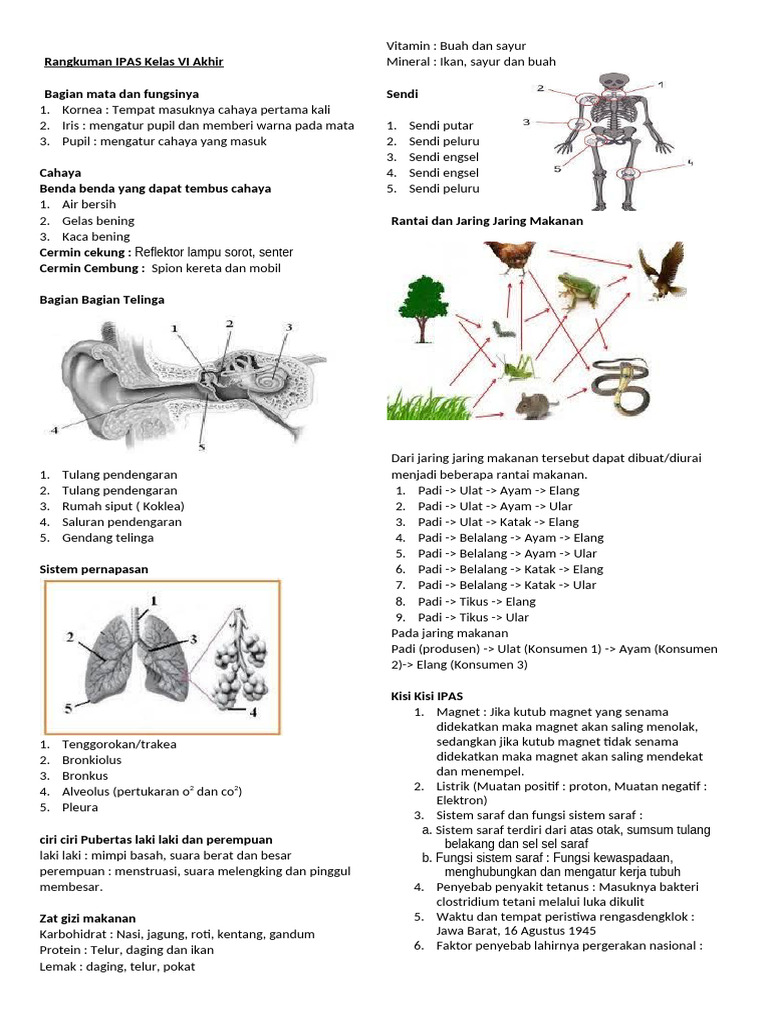 Rangkuman Materi IPAS Kelas VI | PDF