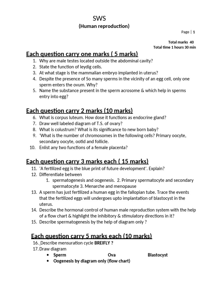 Chapter 3 Test Paper | PDF