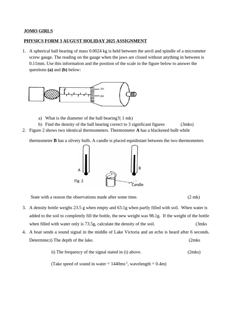 Physics Form 3 Holiday Assignment 2025 | PDF | Liquids | Force