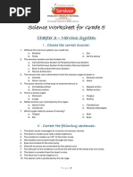 Nervous System Worksheet Grade 5 | PDF | Nervous System | Spinal Cord