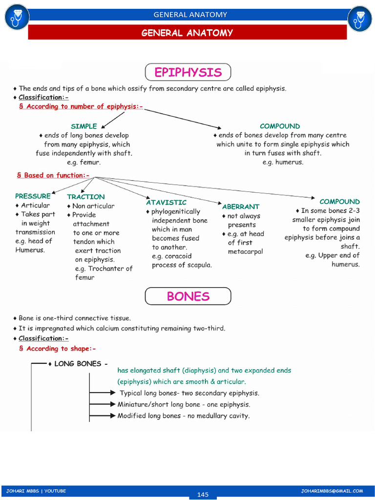 General Anatomy | PDF