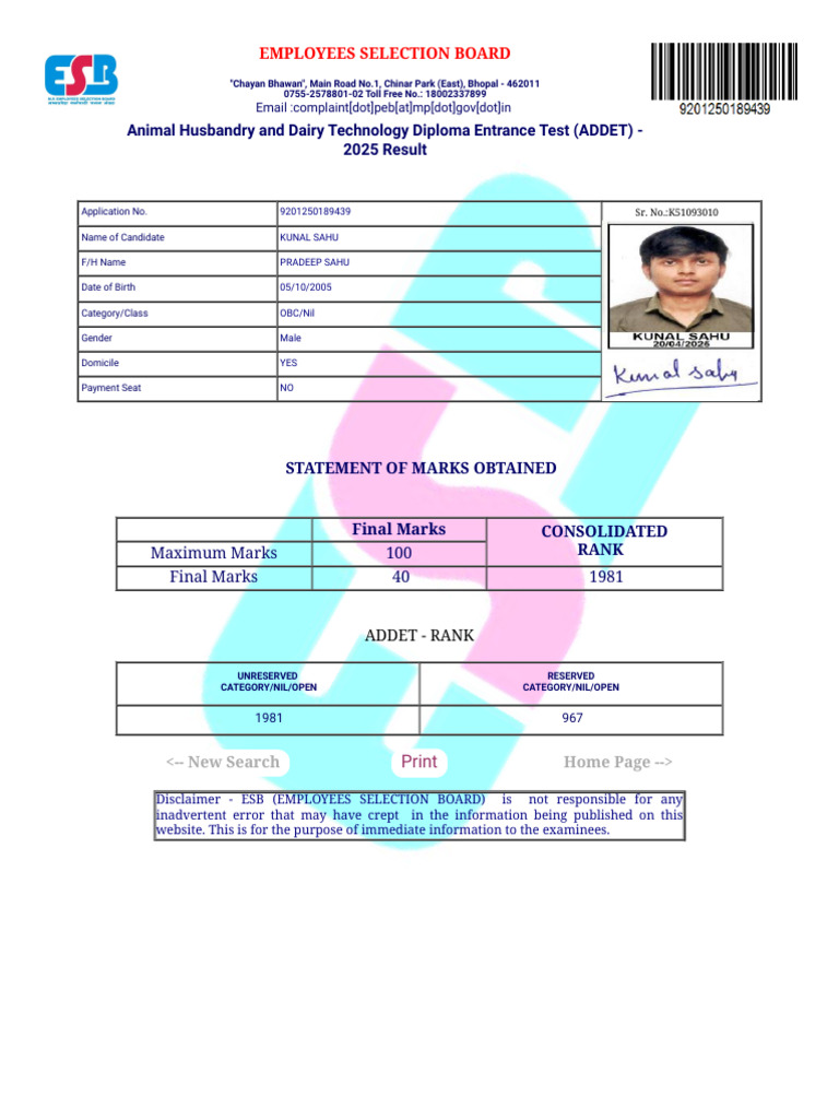 Employees Selection Board | PDF