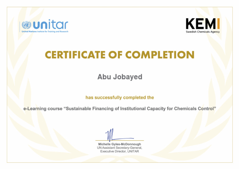 Sustainable Financing of Institutional Capacity For Chemicals Control Certificate | PDF