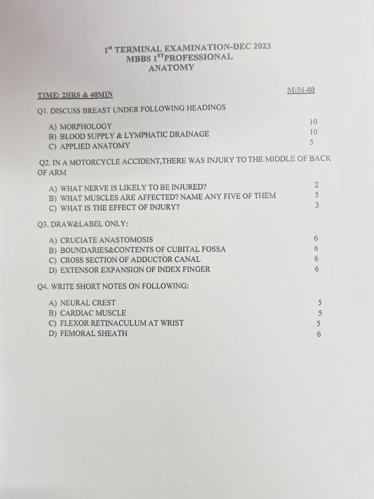1st Terminal Batch 2023 | PDF