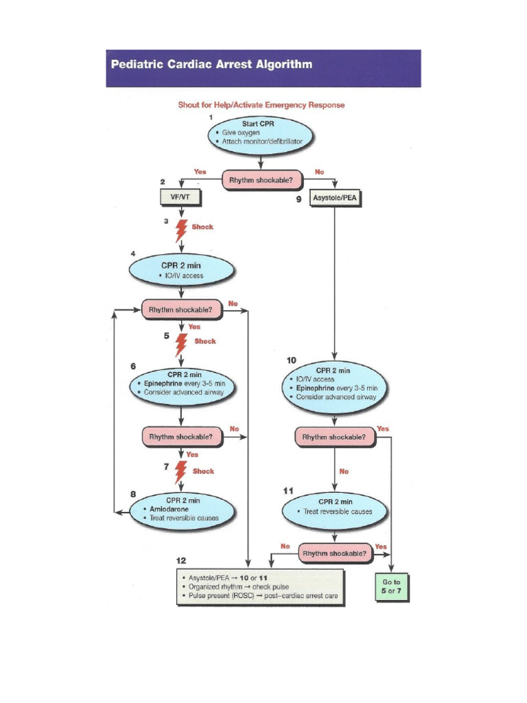 PALS Flowcharts | PDF
