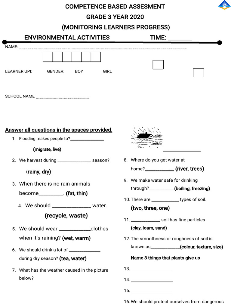 Grade 3 Environmental Activities | PDF