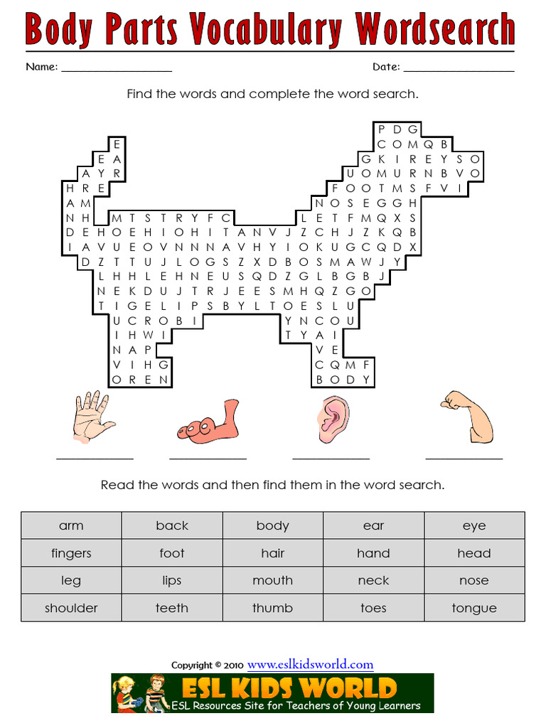 Body Parts Vocabulary Wordsearch | PDF | Linguistics | Word Puzzles